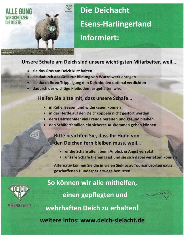 Deichregeln – AFC-Esens e. V.